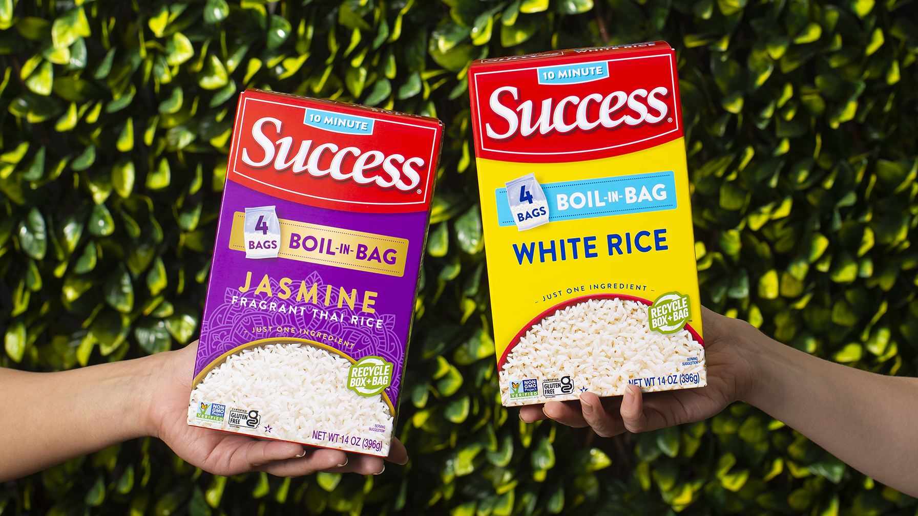 Sustainability | Success® Rice